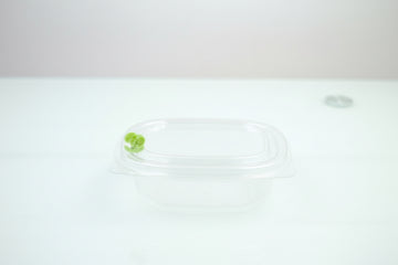Clear Containers – Food Storage & Display Packaging